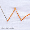 About the Crow’s Foot Stitch - Sarah’s Hand Embroidery
