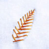 How to do Fishbone Stitch - Sarah’s Hand Embroidery